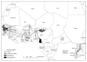Migration in Africa: Shifting Patterns of Mobility from the 19th to the ...